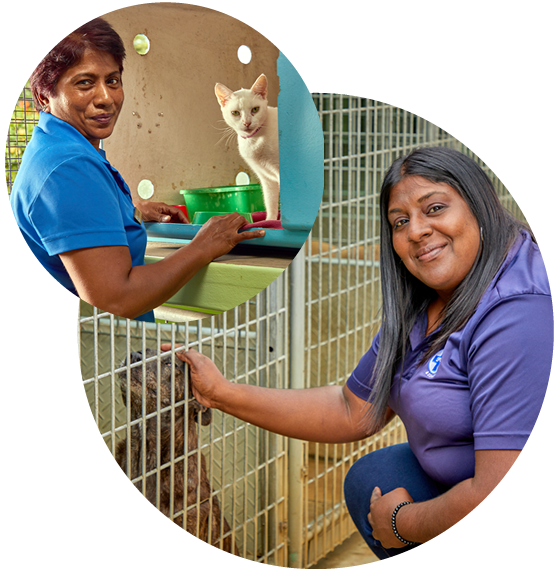 Animal Care Centre - Durban & Coast SPCA