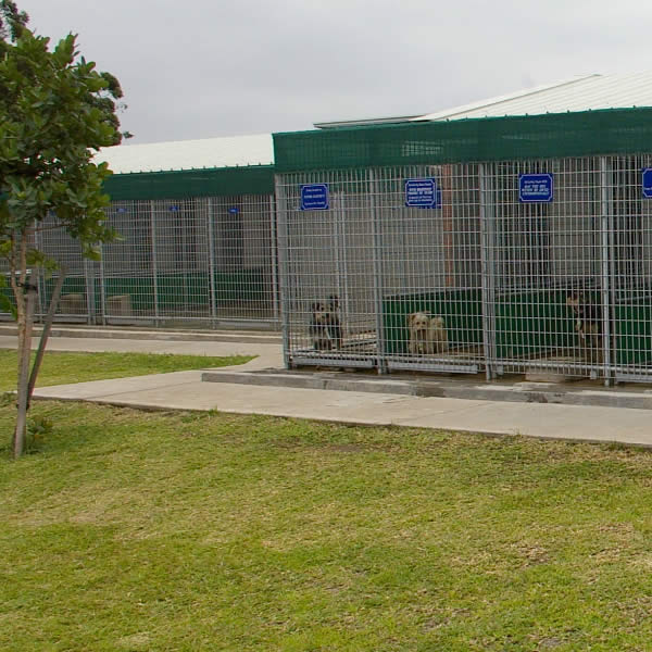 Visit us - Durban & Coast SPCA