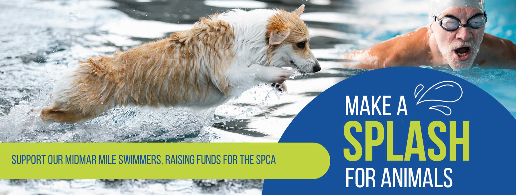 Swimming for Team SPCA - Durban & Coast SPCA